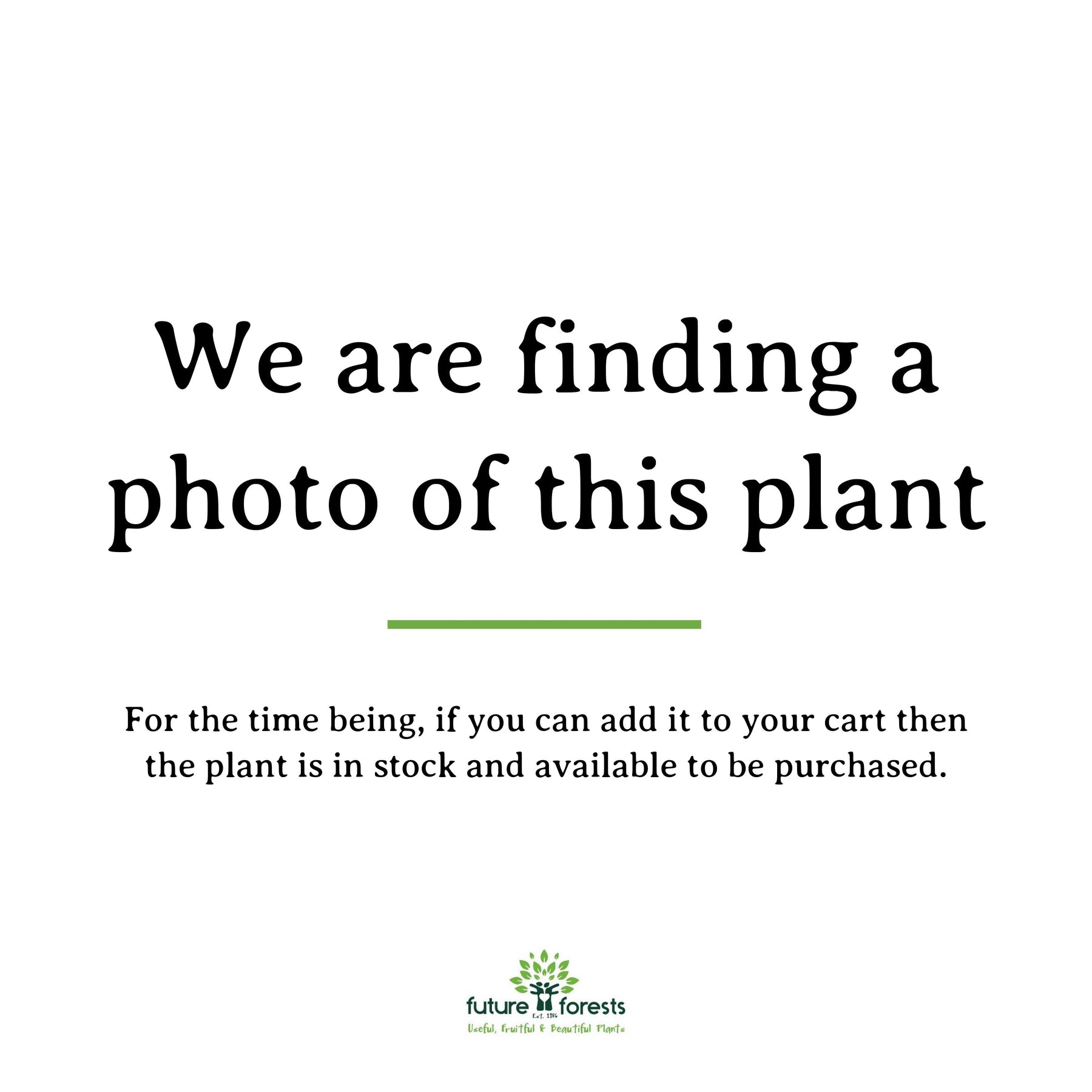 Future Forests - The Irish mail order plant people