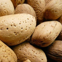 Almond - Prunus dulcis Robijn – Future Forests