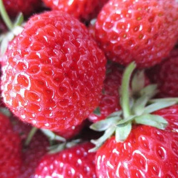 Strawberry Framberry – Future Forests